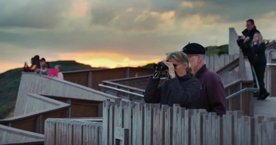 Beachwatch: What Is It and How Can You Get Involved?